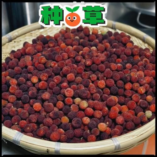 蜜饯怎么做出来的_家庭蜜饯制作步骤-第3张图片-山城妙识