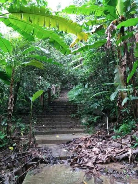 百果树怎么收费_百果树计费规则-第3张图片-山城妙识 百果树怎么收费_百果树计费规则-第3张图片-山城妙识