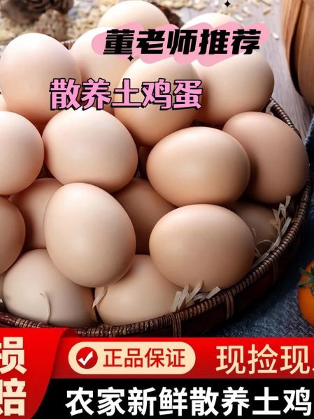 正宗土鸡蛋多少钱一个_土鸡蛋价格行情-第3张图片-山城妙识 正宗土鸡蛋多少钱一个_土鸡蛋价格行情-第3张图片-山城妙识