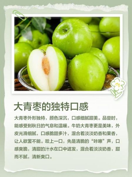 大青枣的功效与作用_大青枣热量高吗-第3张图片-山城妙识 大青枣的功效与作用_大青枣热量高吗-第3张图片-山城妙识