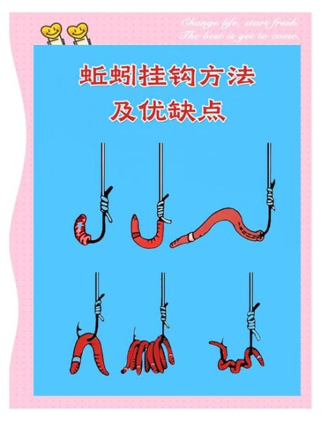 蚯蚓钓鲫鱼用什么钩_蚯蚓钓鲫鱼怎么调漂-第1张图片-山城妙识