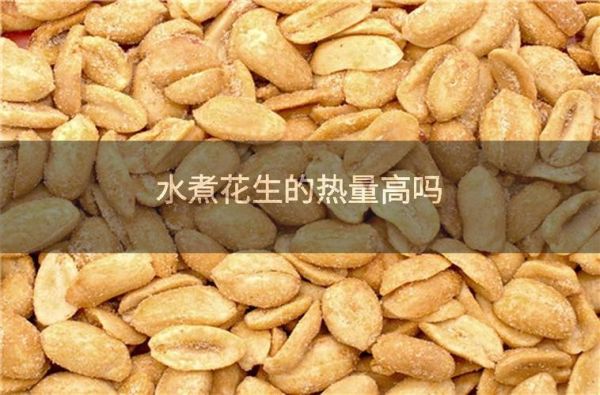 煮花生的热量高吗_煮花生的脂肪多吗-第3张图片-山城妙识 煮花生的热量高吗_煮花生的脂肪多吗-第3张图片-山城妙识