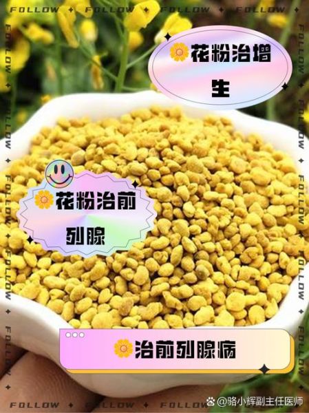 油菜花粉为什么可以治疗前列腺炎_油菜花粉治疗前列腺炎的原理-第1张图片-山城妙识 油菜花粉为什么可以治疗前列腺炎_油菜花粉治疗前列腺炎的原理-第1张图片-山城妙识
