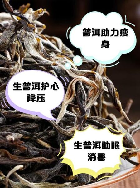 生普洱茶的功效与作用_生普洱怎么喝才减肥-第3张图片-山城妙识 生普洱茶的功效与作用_生普洱怎么喝才减肥-第3张图片-山城妙识
