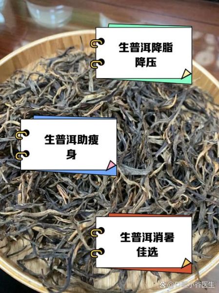 生普洱茶的功效与作用_生普洱怎么喝才减肥-第1张图片-山城妙识 生普洱茶的功效与作用_生普洱怎么喝才减肥-第1张图片-山城妙识
