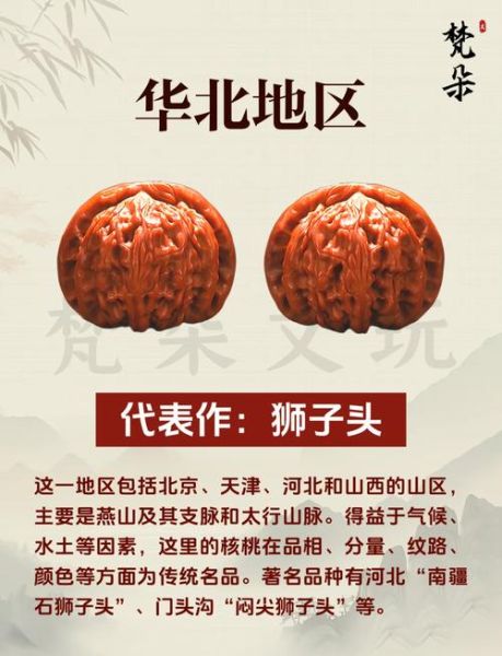 核桃产地主要在哪个省_全国核桃核心产区分布-第1张图片-山城妙识