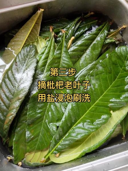 自制川贝枇杷膏的功效_川贝枇杷膏怎么熬-第1张图片-山城妙识