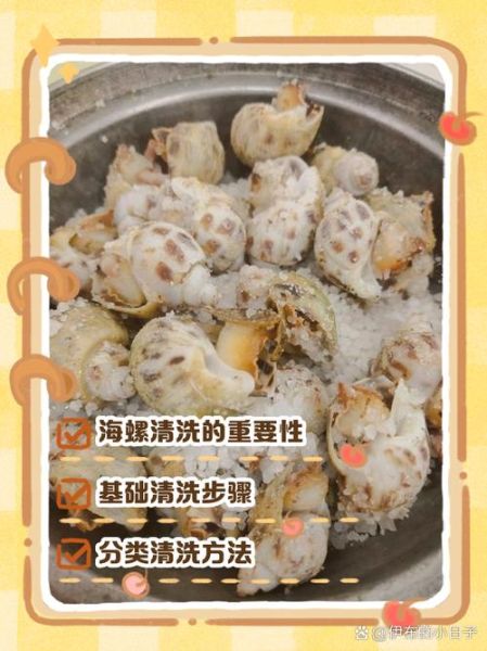 海螺怎么清洗才干净_海螺清洗的正确方法-第1张图片-山城妙识 海螺怎么清洗才干净_海螺清洗的正确方法-第1张图片-山城妙识