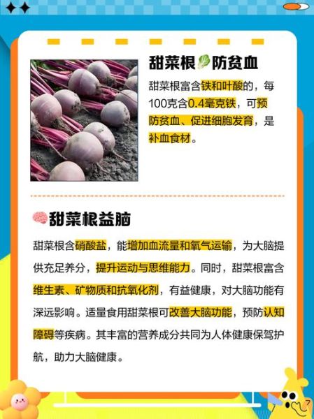 甜菜根怎么吃_甜菜根的功效与作用-第1张图片-山城妙识 甜菜根怎么吃_甜菜根的功效与作用-第1张图片-山城妙识