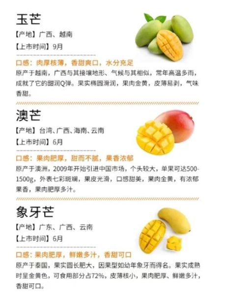 甘蔗男芒果男山竹男是什么意思_如何辨别-第2张图片-山城妙识 甘蔗男芒果男山竹男是什么意思_如何辨别-第2张图片-山城妙识