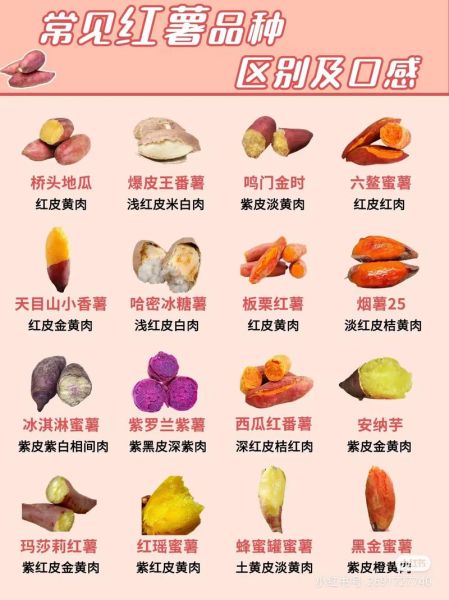 地瓜图片大全高清图片_如何挑选优质地瓜-第3张图片-山城妙识