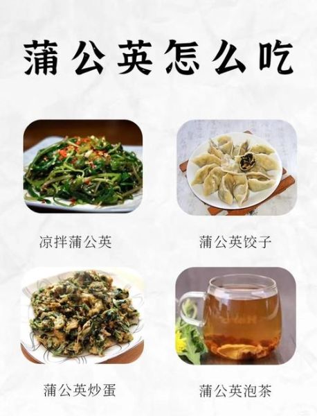 蒲公英怎么吃最安全_蒲公英的吃法禁忌有哪些-第2张图片-山城妙识 蒲公英怎么吃最安全_蒲公英的吃法禁忌有哪些-第2张图片-山城妙识