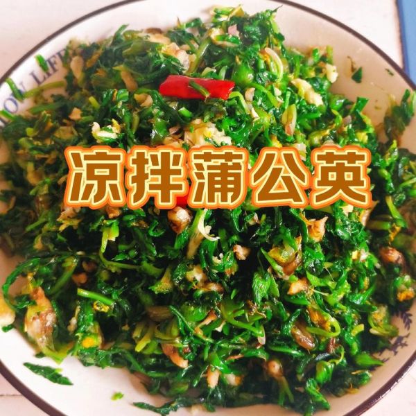 蒲公英怎么吃最安全_蒲公英的吃法禁忌有哪些-第3张图片-山城妙识 蒲公英怎么吃最安全_蒲公英的吃法禁忌有哪些-第3张图片-山城妙识