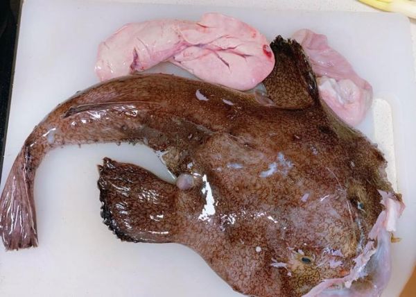 安康鱼皮为什么不能吃_安康鱼皮有毒吗-第3张图片-山城妙识 安康鱼皮为什么不能吃_安康鱼皮有毒吗-第3张图片-山城妙识