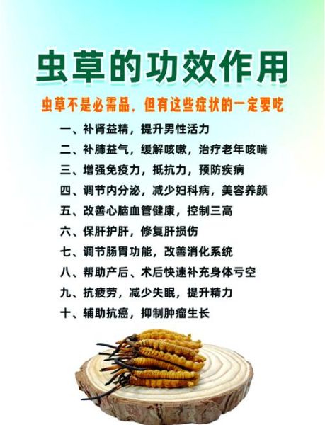 冬虫夏草对女人有什么好处_女人吃虫草有哪些禁忌-第1张图片-山城妙识 冬虫夏草对女人有什么好处_女人吃虫草有哪些禁忌-第1张图片-山城妙识