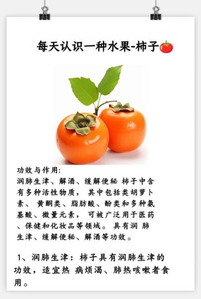 柿子能减肥吗_柿子热量高不高-第1张图片-山城妙识 柿子能减肥吗_柿子热量高不高-第1张图片-山城妙识