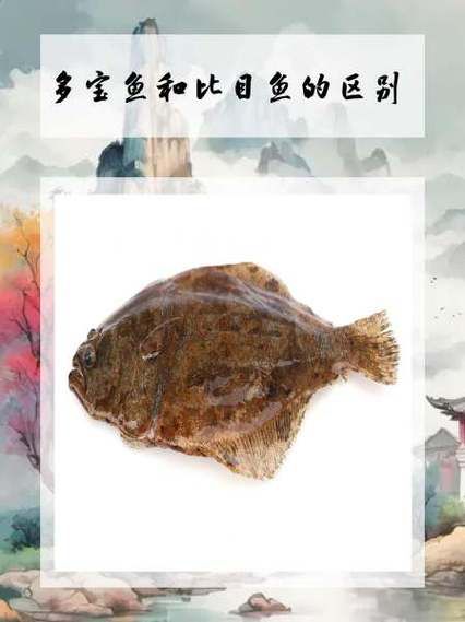 比目鱼和多宝鱼的区别_哪个更好吃-第2张图片-山城妙识 比目鱼和多宝鱼的区别_哪个更好吃-第2张图片-山城妙识
