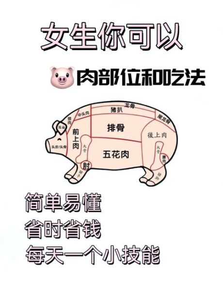 大排是哪个部位图解_猪大排和小排区别-第2张图片-山城妙识