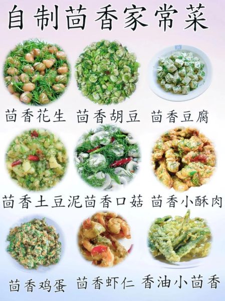茴香菜怎么吃_茴香菜的家常做法-第1张图片-山城妙识
