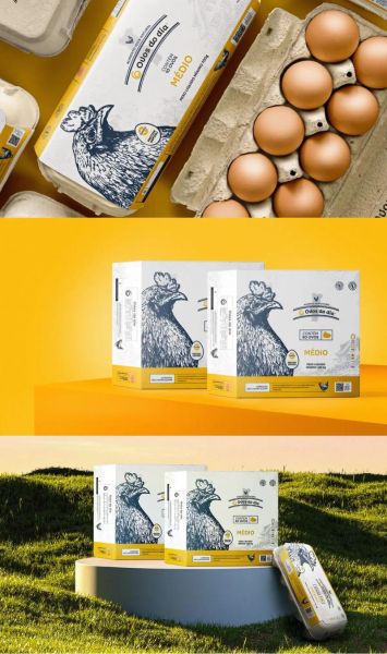 鸡蛋包装盒设计展开图怎么做_鸡蛋包装盒展开图尺寸怎么算-第1张图片-山城妙识