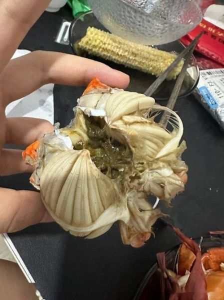螃蟹肚子里黄黄稀稀的是什么_能吃吗-第1张图片-山城妙识