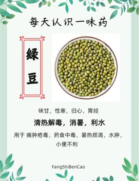 绿豆芽怎么发最快_绿豆芽的营养价值有哪些-第1张图片-山城妙识