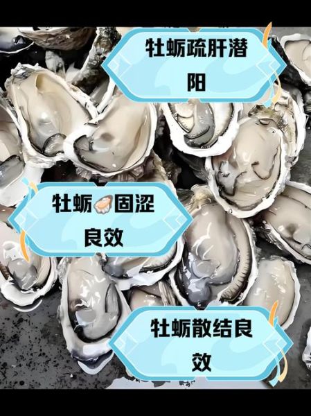 吃生蚝的好处和坏处_生蚝吃多了会怎样-第2张图片-山城妙识 吃生蚝的好处和坏处_生蚝吃多了会怎样-第2张图片-山城妙识