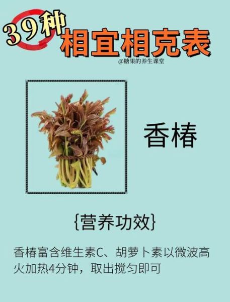 香椿芽不能和什么一起吃_香椿芽相克食物有哪些-第1张图片-山城妙识