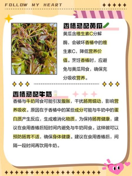 香椿芽不能和什么一起吃_香椿芽相克食物有哪些-第2张图片-山城妙识