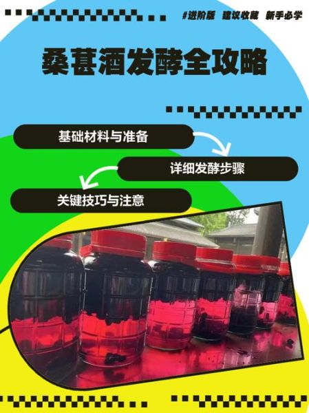 桑葚酒怎么酿_桑葚酒家庭酿制方法-第3张图片-山城妙识