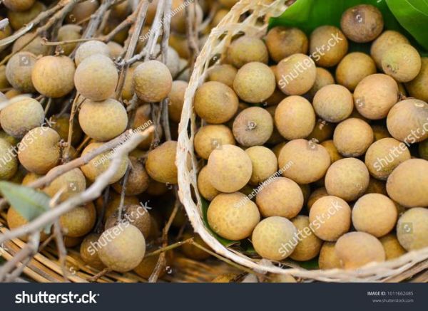 how_to_store_fruit_longer_what_fruit_is_lowest_in_sugar-第3张图片-山城妙识 how_to_store_fruit_longer_what_fruit_is_lowest_in_sugar-第3张图片-山城妙识