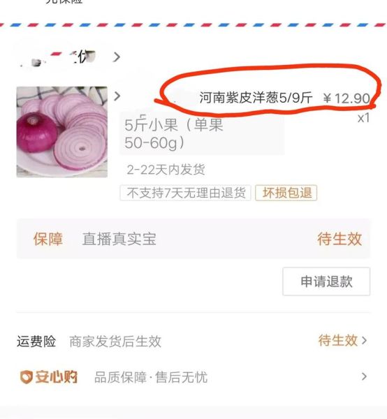 洋葱哥为什么退网_洋葱哥退网原因-第1张图片-山城妙识 洋葱哥为什么退网_洋葱哥退网原因-第1张图片-山城妙识