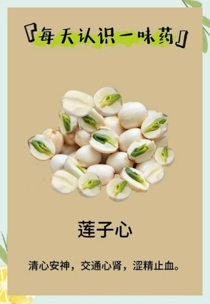 莲子心泡水喝的功效与禁忌_莲子心能治失眠吗-第3张图片-山城妙识 莲子心泡水喝的功效与禁忌_莲子心能治失眠吗-第3张图片-山城妙识