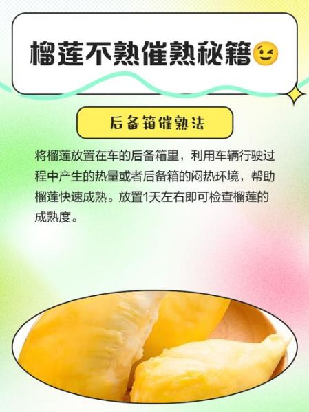 榴莲没熟打开后怎么办_榴莲不熟怎么补救-第1张图片-山城妙识 榴莲没熟打开后怎么办_榴莲不熟怎么补救-第1张图片-山城妙识