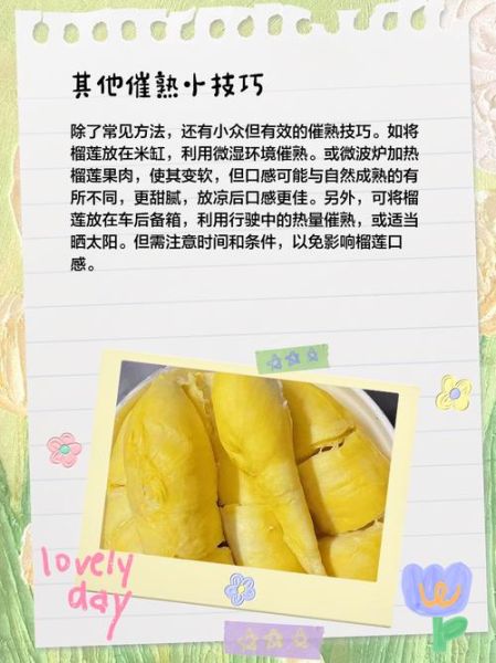 榴莲没熟打开后怎么办_榴莲不熟怎么补救-第3张图片-山城妙识 榴莲没熟打开后怎么办_榴莲不熟怎么补救-第3张图片-山城妙识