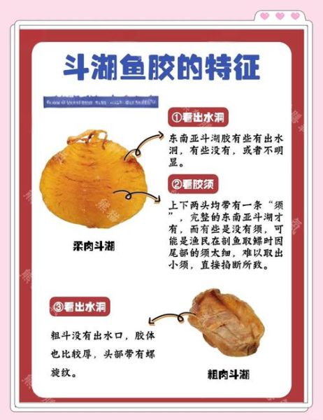 炸鱼鳔怎么做_炸鱼鳔要焯水吗-第3张图片-山城妙识