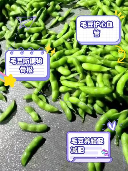 毛豆的营养价值及功效与作用吃多少_一天吃多少合适-第2张图片-山城妙识