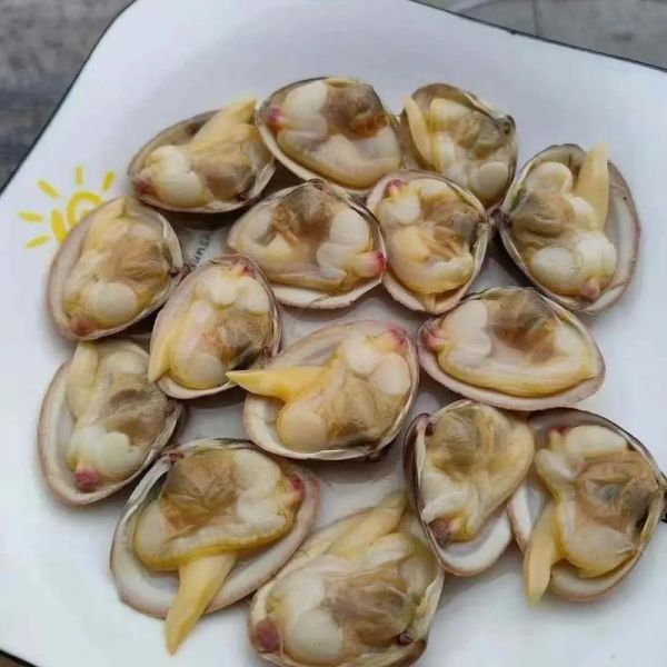 花蛤买回来全闭口了_还能吃吗-第2张图片-山城妙识 花蛤买回来全闭口了_还能吃吗-第2张图片-山城妙识