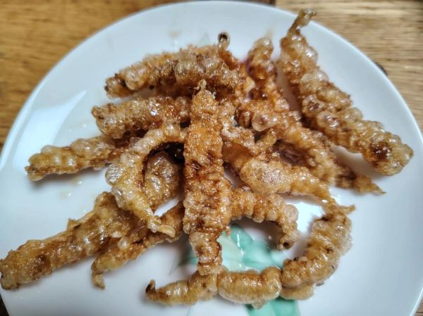 炸鱼鳔怎么做_炸鱼鳔要焯水吗-第2张图片-山城妙识