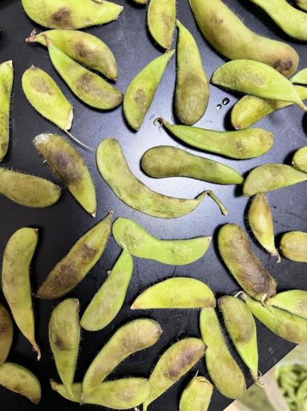 毛豆的营养价值及功效与作用吃多少_一天吃多少合适-第1张图片-山城妙识