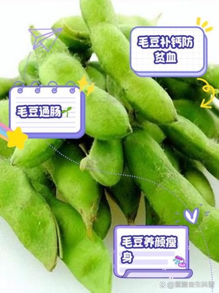 毛豆的营养价值及功效与作用吃多少_一天吃多少合适-第3张图片-山城妙识