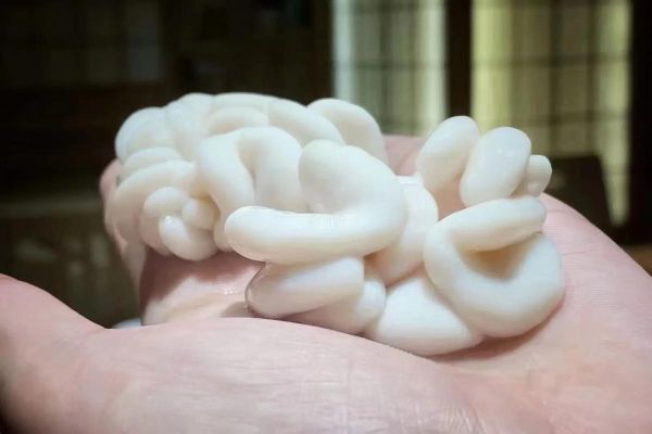 安康鱼肝能吃吗_安康鱼肝有哪些危害-第3张图片-山城妙识 安康鱼肝能吃吗_安康鱼肝有哪些危害-第3张图片-山城妙识