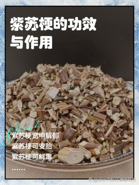 紫苏梗的功效与作用_紫苏梗能治哪些病-第2张图片-山城妙识