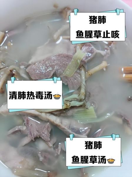 猪肺的功效与作用_猪肺汤怎么炖润肺止咳-第3张图片-山城妙识 猪肺的功效与作用_猪肺汤怎么炖润肺止咳-第3张图片-山城妙识