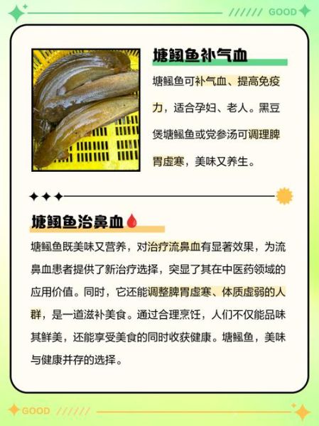 塘鲺鱼煲汤放什么材料_塘鲺鱼煲汤怎么煲最鲜-第2张图片-山城妙识 塘鲺鱼煲汤放什么材料_塘鲺鱼煲汤怎么煲最鲜-第2张图片-山城妙识