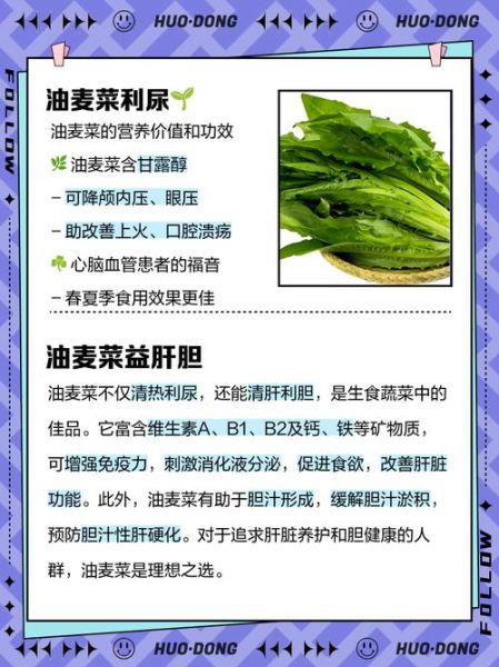 油麦菜的功效与作用及禁忌_油麦菜什么人不能吃-第1张图片-山城妙识 油麦菜的功效与作用及禁忌_油麦菜什么人不能吃-第1张图片-山城妙识