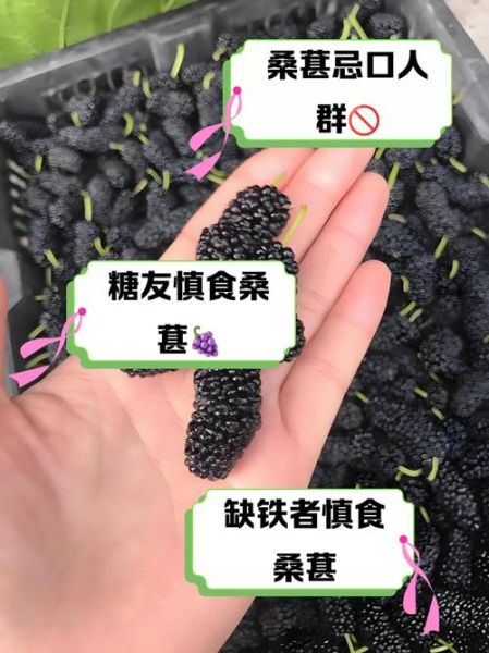 桑葚哪些人不能吃_桑葚禁忌人群有哪些-第2张图片-山城妙识