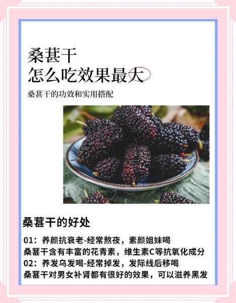 桑葚哪些人不能吃_桑葚禁忌人群有哪些-第3张图片-山城妙识