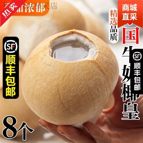 椰皇和椰青的区别_哪个更甜-第2张图片-山城妙识 椰皇和椰青的区别_哪个更甜-第2张图片-山城妙识