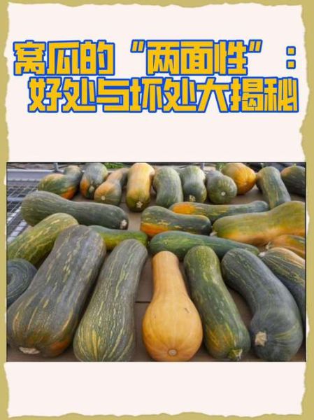 倭瓜是什么意思_倭瓜和南瓜的区别-第1张图片-山城妙识 倭瓜是什么意思_倭瓜和南瓜的区别-第1张图片-山城妙识